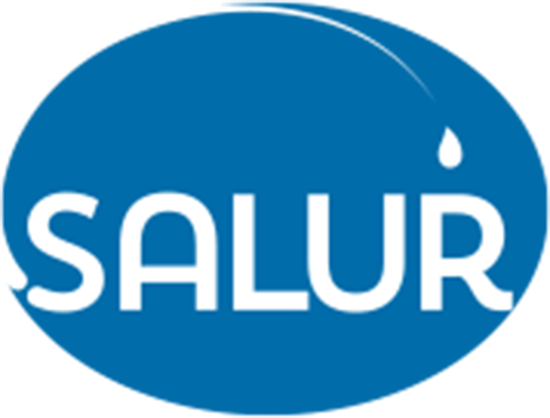 Salur